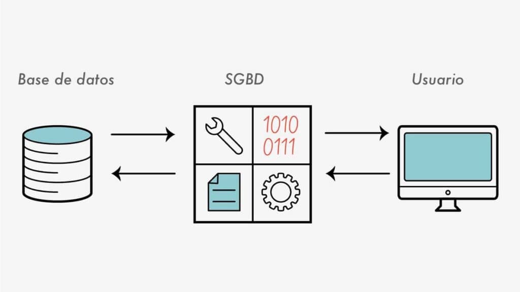 Sistemas de Gestión de Bases de Datos: Lo que Necesitas Saber