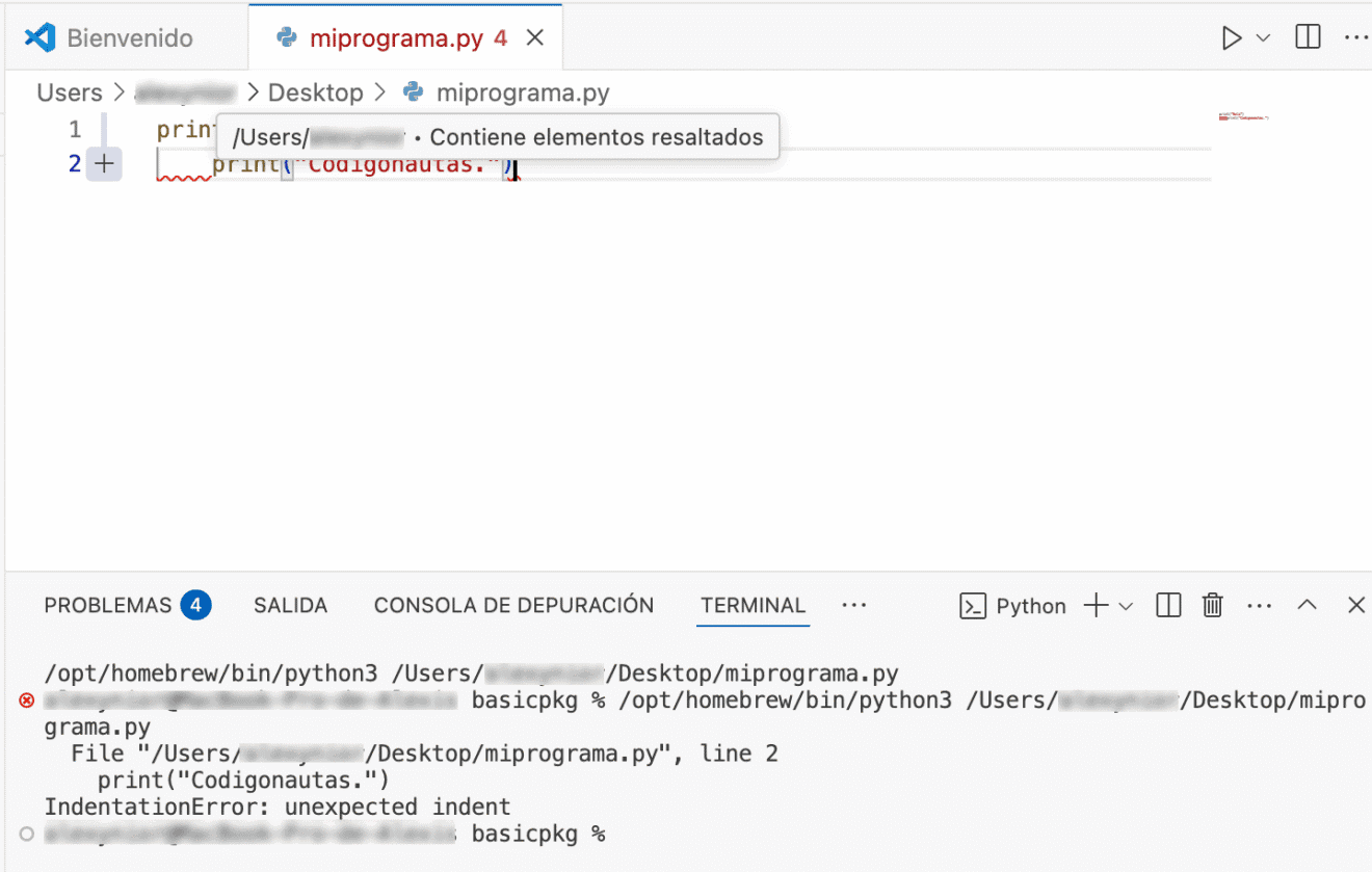 Escribir tu Primer Script en Python: Guía para Principiantes » CodigoNautas