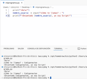 Escribir tu Primer Script en Python: Guía para Principiantes » CodigoNautas